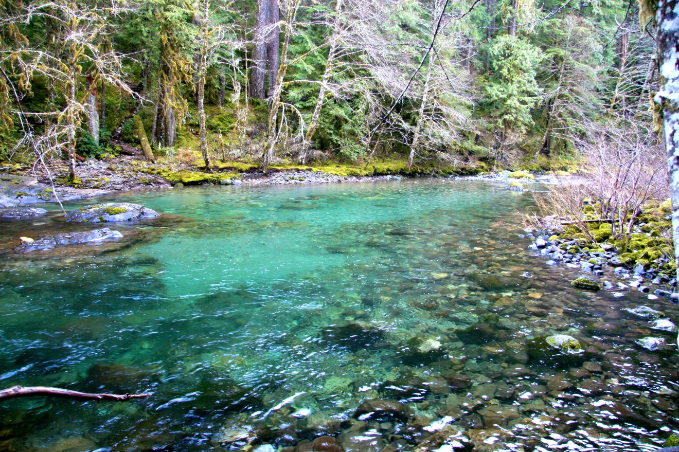 10 Beautiful Spring Hikes in Oregon – B In Transition